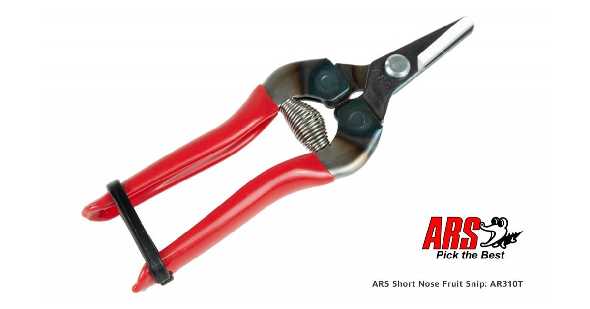 ARS SHORT NOSE FRUIT SNIPS - 160MM for sale
