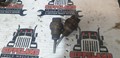 CATERPILLAR TEMPERATURE SENSOR 1309811 CATERPILLAR 1309811 for sale ...
