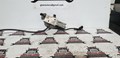 IVECO CURSOR 13 TURBO CONTROL VALVE 3596456 IVECO CURSOR 13 3596456 for ...