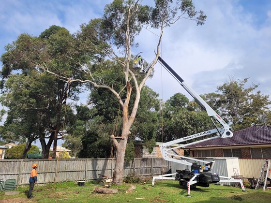 Platform Basket Used 2023 Model Monitor 2210 EVO Lbd 22M Spider Lift ...