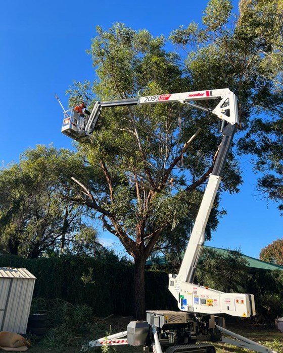 Platform Basket Used 2022 Model Monitor 2095 | 20M Hybrid Spider | 9.5m ...