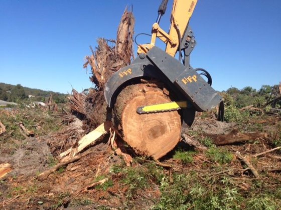 Forestry Industry Action Plan - Arbor Age