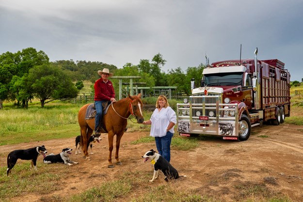 Livestock luxury in a classy Kenworth T410SAR | News