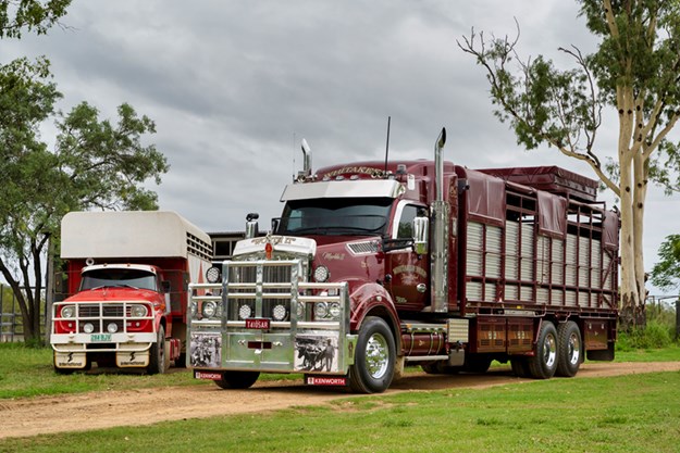Livestock luxury in a classy Kenworth T410SAR | News