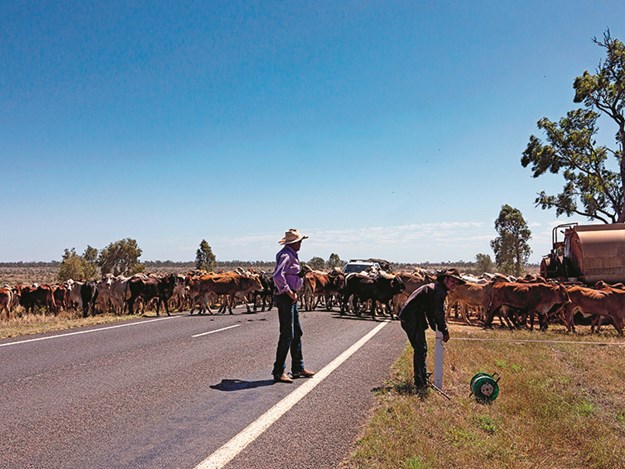 Queensland and WA reform supply chains