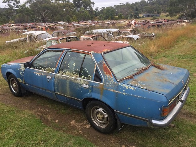 Project Coomadore part 1 - Our Shed