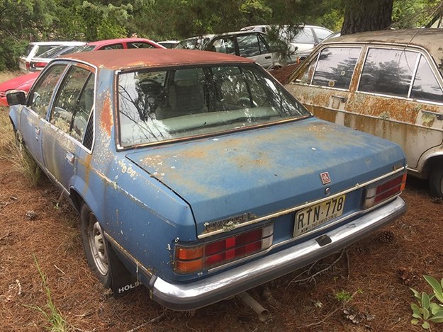 Project Coomadore part 1 - Our Shed