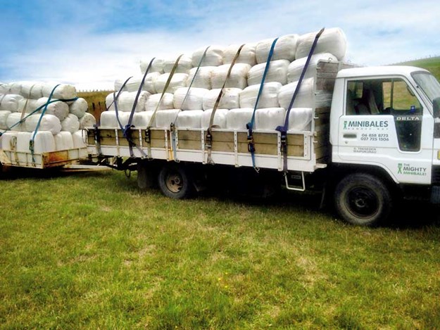 Mini balers help Hawke's Bay farmer achieve big results