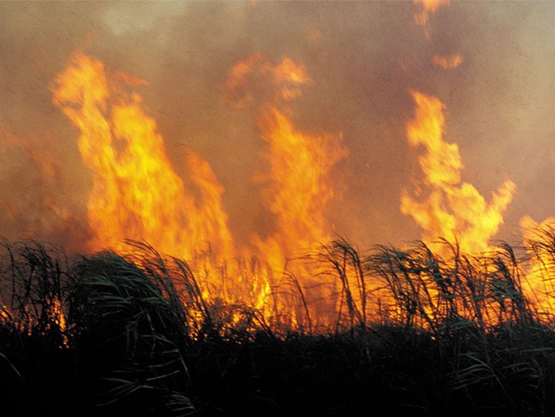 Fire and Emergency urges burn-off planning