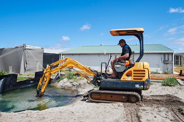 888 Abalone | Porter Press Extra