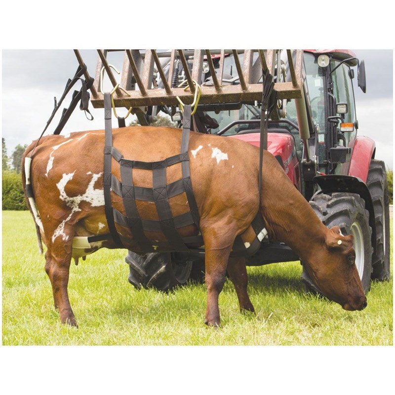 SHOOF LIFTEASE COW LIFTER COMPLETE