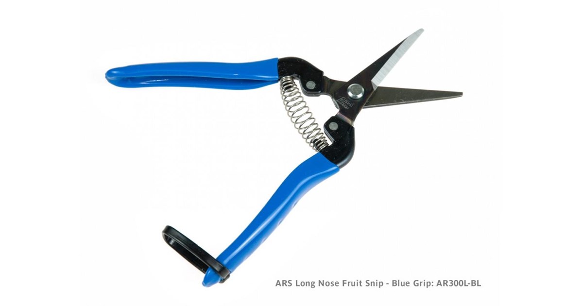 ARS LONGNOSE FRUIT SNIP BLUE GRIP - 46MM BLADE for sale (refcode TA1107988)