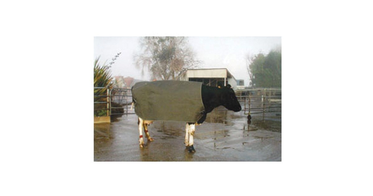 SHOOF COW COVER THERMAL EMERGENCY LARGE FRIESIAN for sale