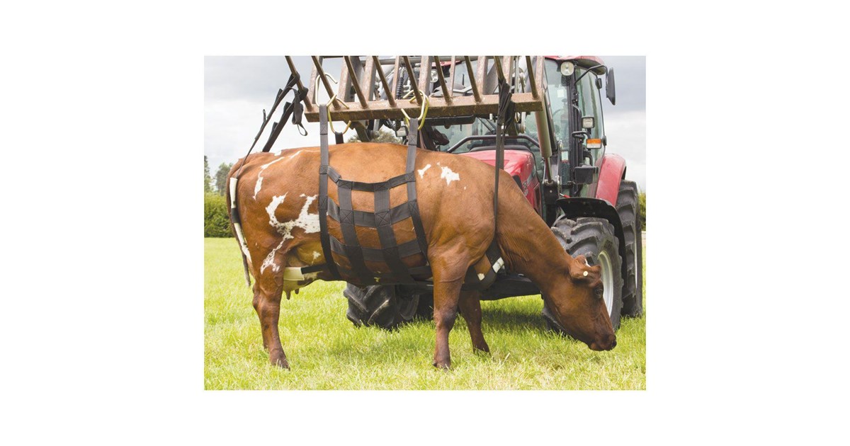 SHOOF LIFTEASE COW LIFTER COMPLETE for sale (refcode TA1108896)