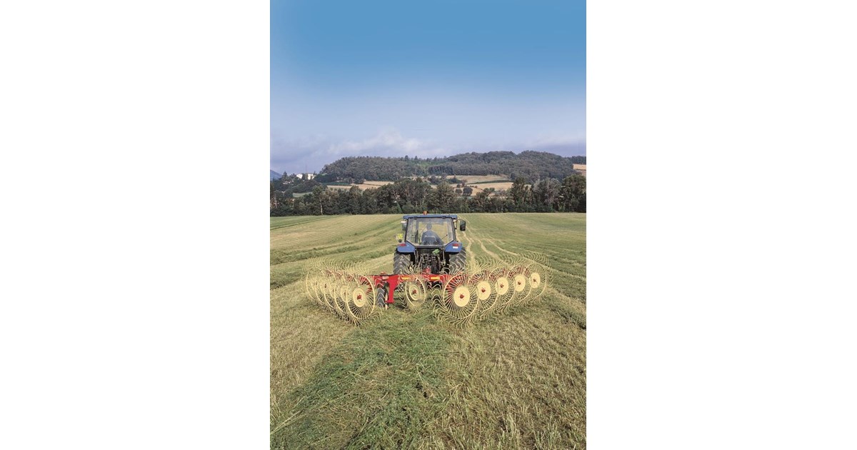 SITREX QR8 CENTRE DELIVERY HAY RAKE for sale