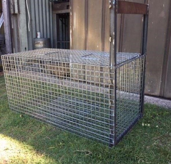 FARM-AID LARGE FERAL DOG TRAP for sale (refcode TA1151030)
