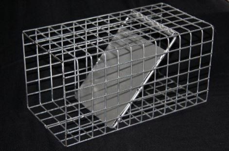 FARM-AID MEDIUM ONE WAY DOOR TRAP for sale (refcode TA1151033)