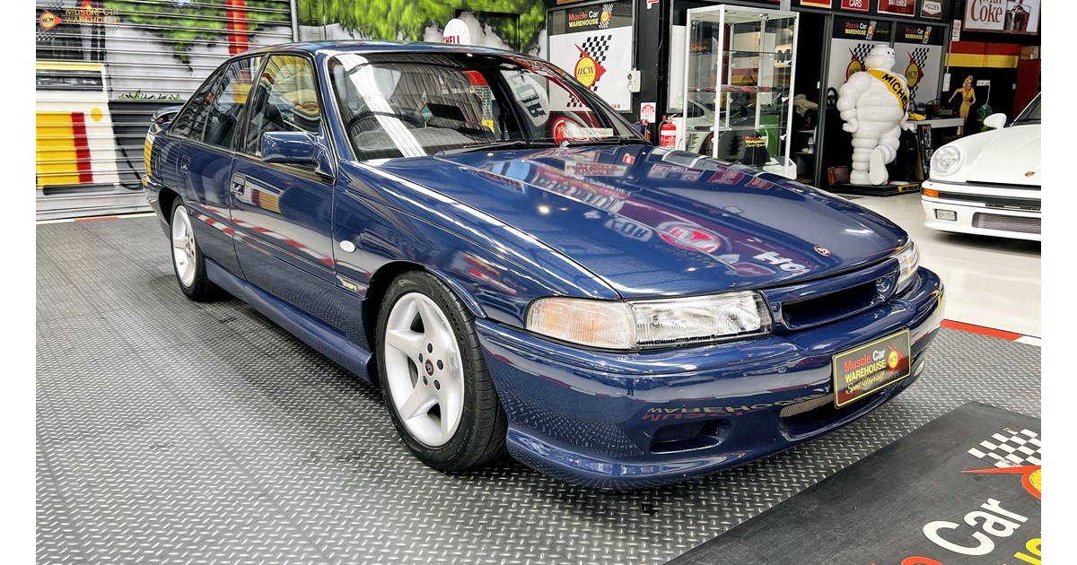 1991 HSV SV 91 1991 Holden VP Commodore SV91 for sale (refcode TA1157923)