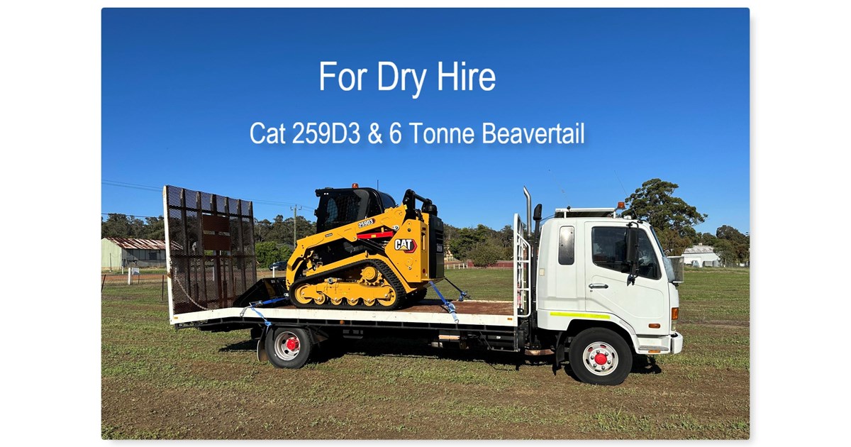 2023 CATERPILLAR 259D3 for sale