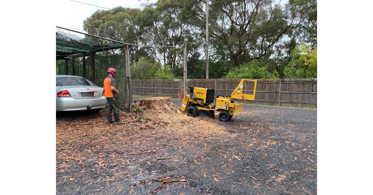 2023 RAYCO RG55 WHEELED for sale