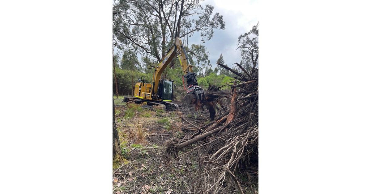 INTERMERCATO GRAPPLES GX55-50/5 HEAVY DUTY FIVE FINGER GRAB UP TO 32T ...