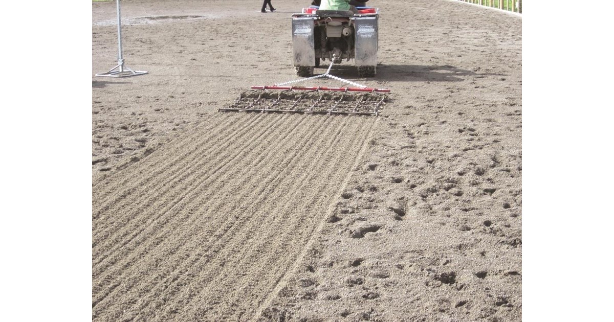 REDBACK REDBACK ARENA RAKE GROOMER for sale (refcode TA1230646)