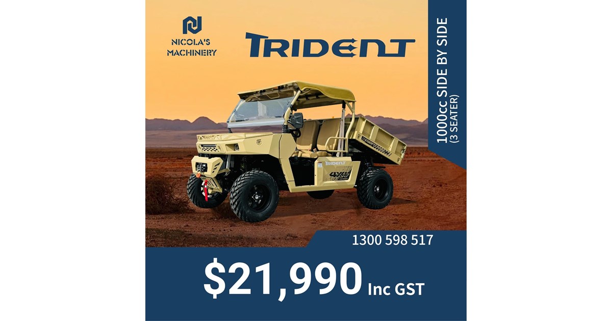 TRIDENT 1000CC SIDE BY SIDE Desert Cross for sale (refcode TA1226048)