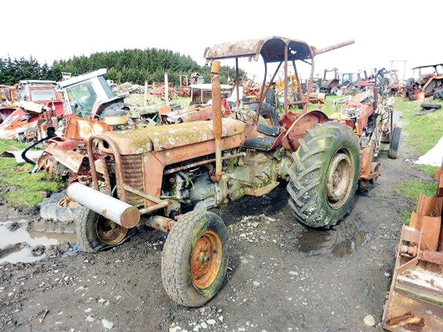 MASSEY FERGUSON 65 for sale (refcode TA832337)