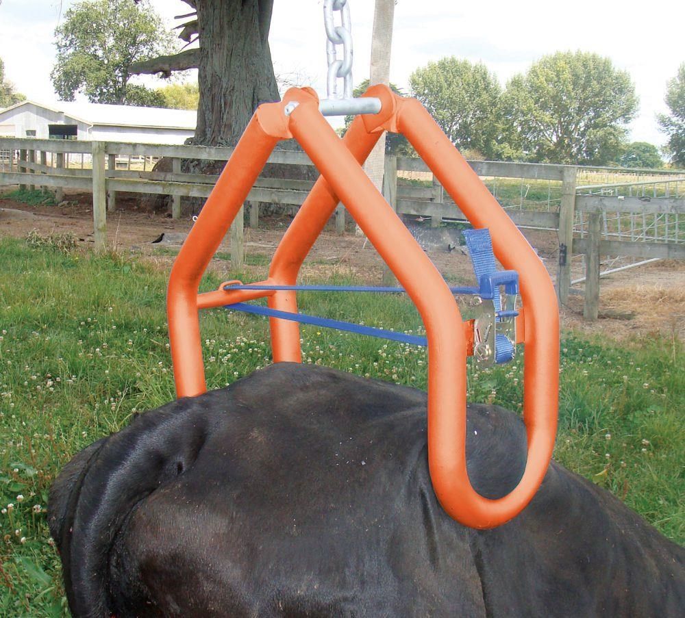 SHOOF COW LIFTER QUICK-LIFT COMPLETE for sale (refcode TA1108903)