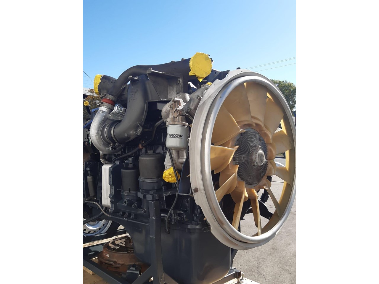 DAF PACCAR MX13 for sale