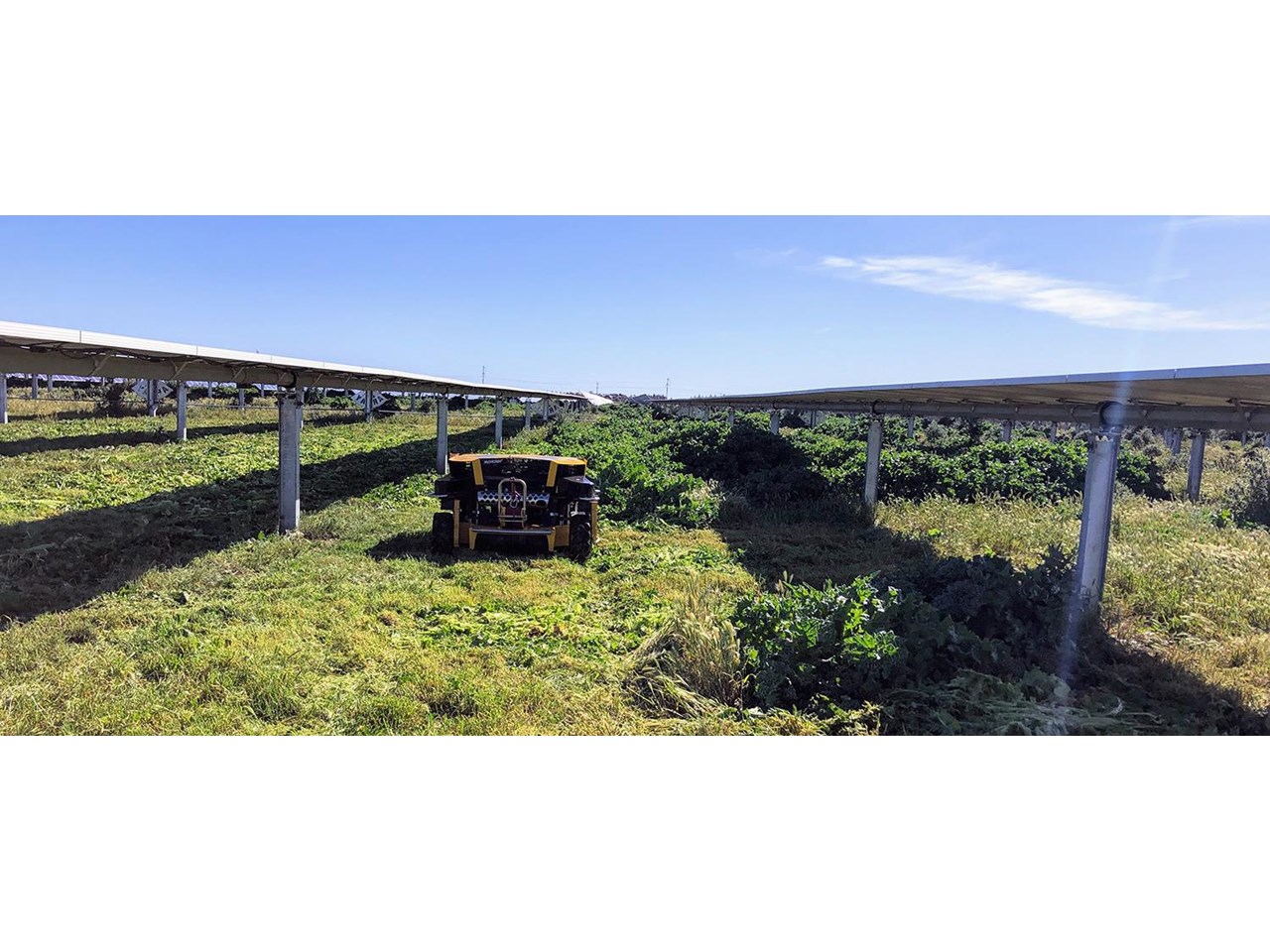 SPIDER 2SGS SOLAR FARM MOWER for sale (refcode TA1148578)