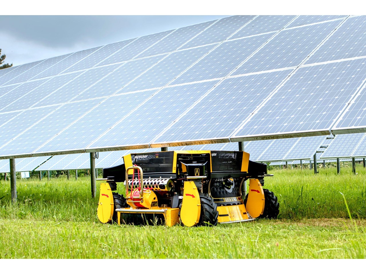 SPIDER 2SGS SOLAR FARM MOWER for sale (refcode TA1148578)