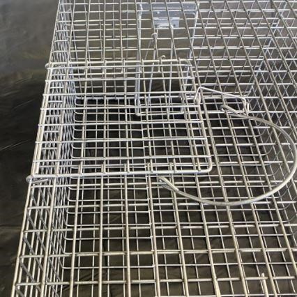 FARM-AID MEDIUM 2-DOOR PIGEON CAGE for sale (refcode TA1151037)