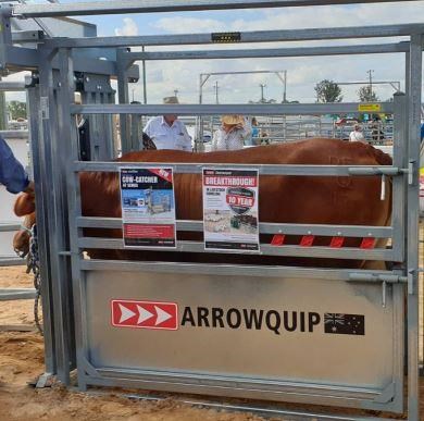 ARROWQUIP VET CRUSH COW CATCHER 4700 SERIES for sale (refcode TA1184463)