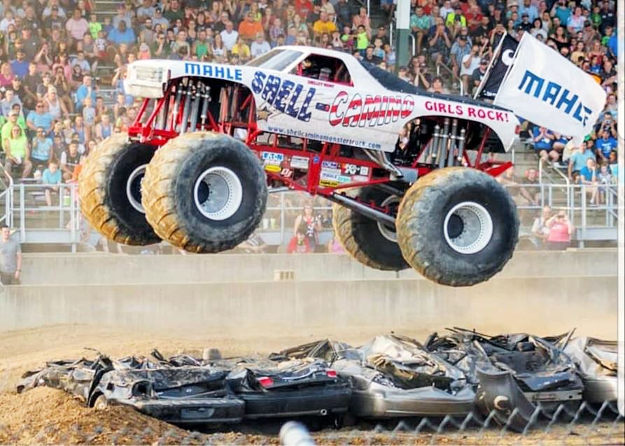 PROFESSIONAL MONSTER TRUCK CUSTOM for sale