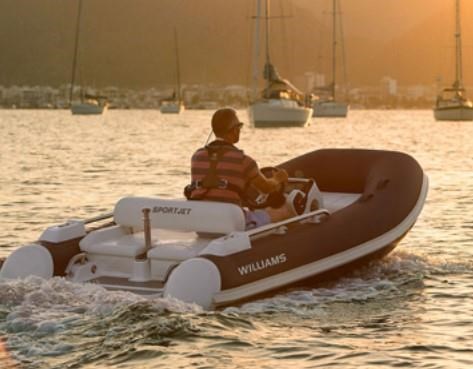 WILLIAMS WILLIAMS 345 SPORT JET for sale (refcode TA1210952)