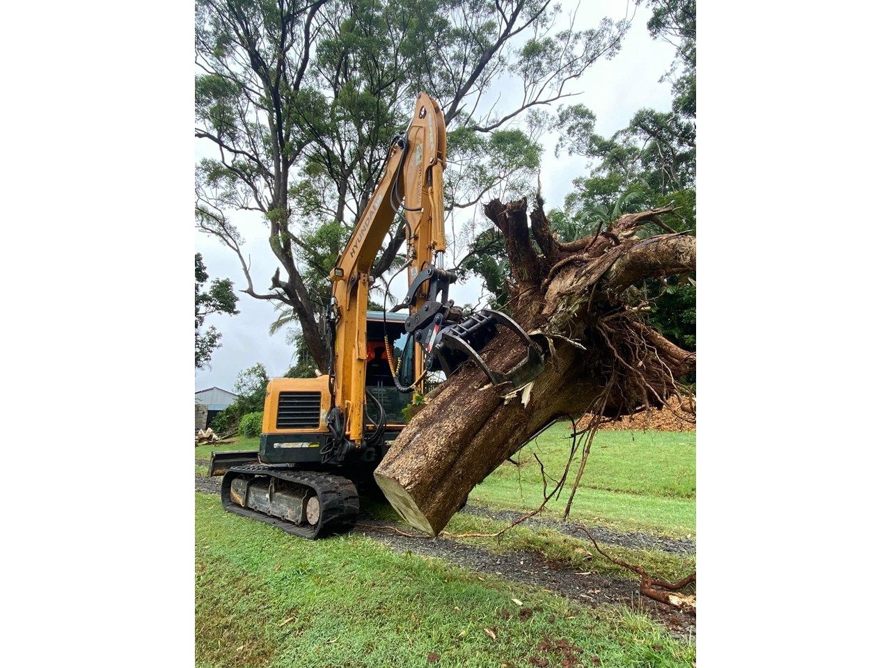 INTERMERCATO GRAPPLES TG25PROS LOG GRAB UP TO 10T- FREE SHIPPING for ...