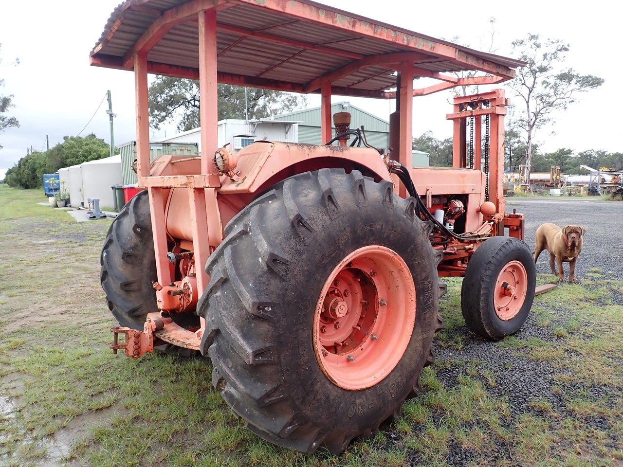 CHAMBERLAIN C6100 TRACTOR FORKLIFT for sale (refcode TA1272311)
