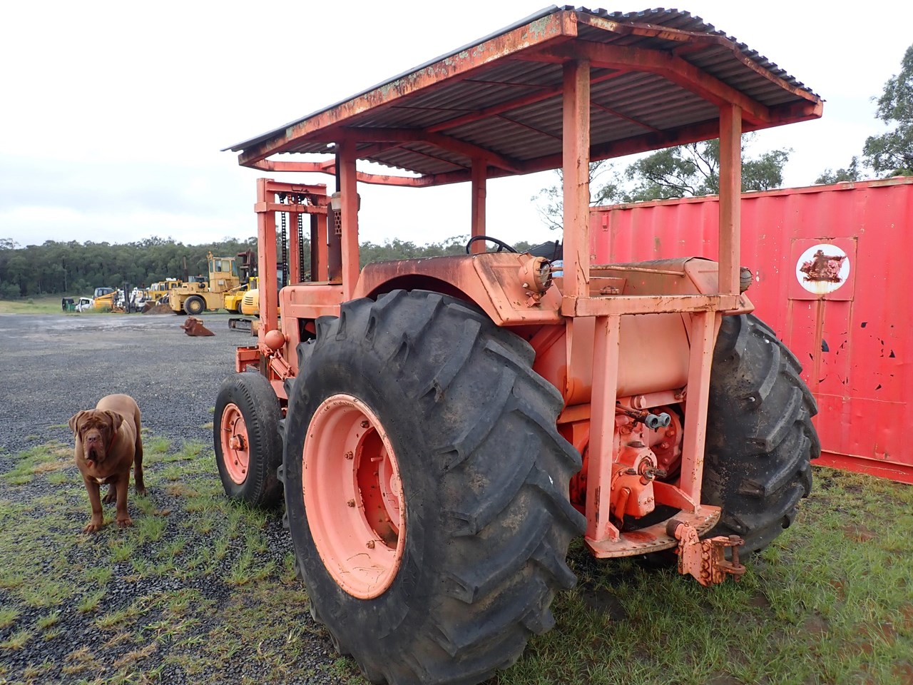 CHAMBERLAIN C6100 TRACTOR FORKLIFT for sale (refcode TA1272311)