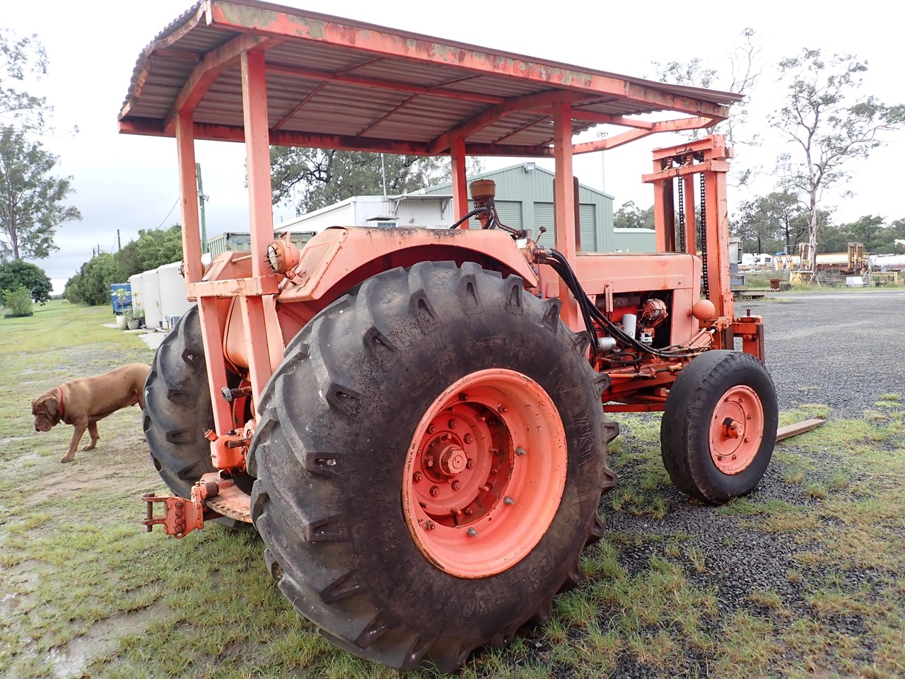 CHAMBERLAIN C6100 TRACTOR FORKLIFT for sale (refcode TA1272311)