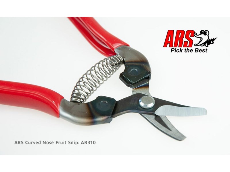 ARS CURVED NOSE FRUIT SNIPS - 155MM for sale
