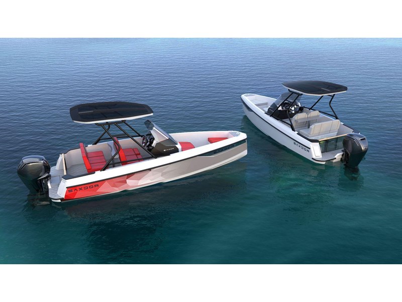 2024 SAXDOR YACHTS 205 for sale