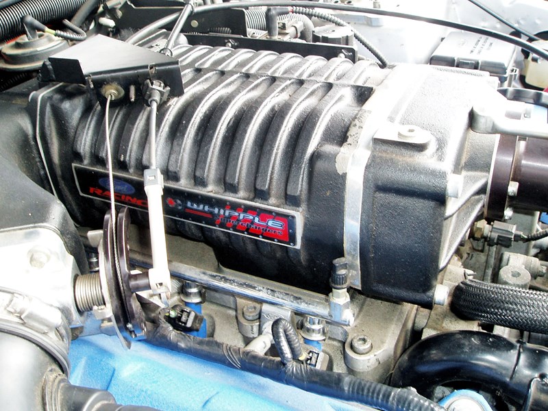 2003 FORD MUSTANG SVT Cobra Terminator for sale