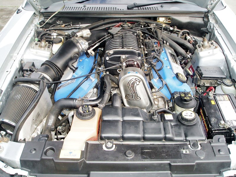 2003 FORD MUSTANG SVT Cobra Terminator for sale