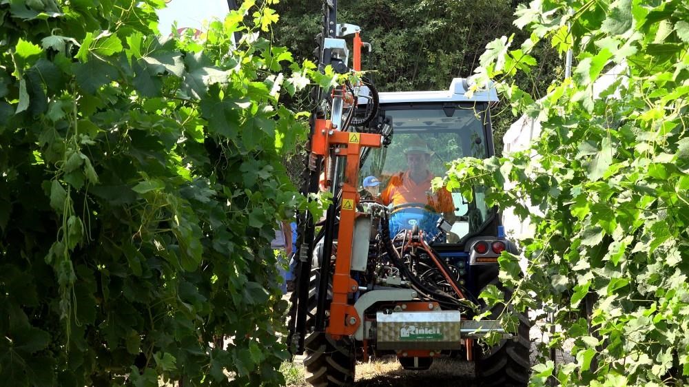 RINIERI CRL VISION 1 PRUNER for sale