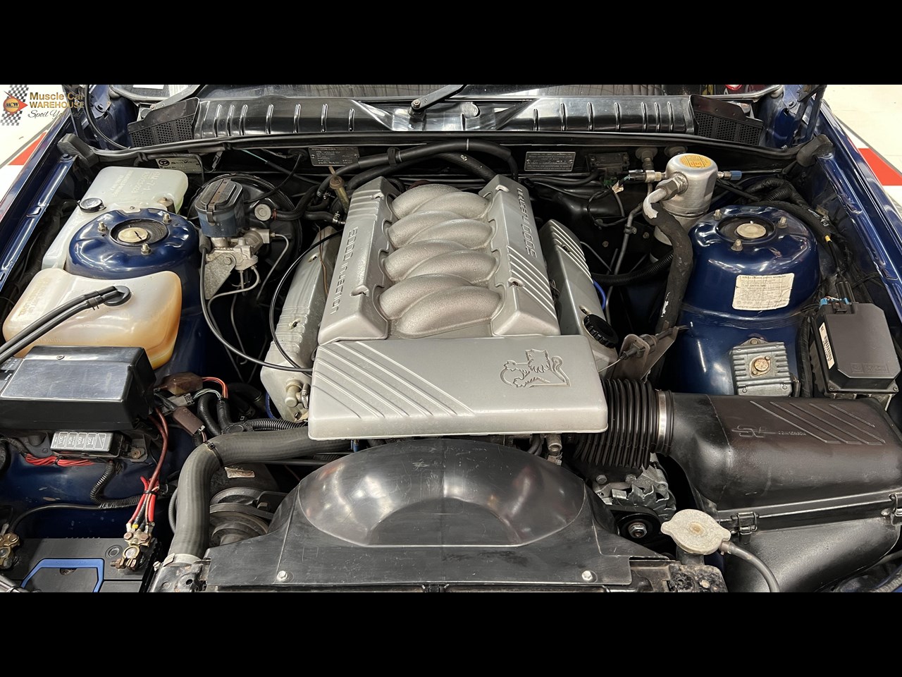 1991 HSV SV 91 1991 Holden VP Commodore SV91 for sale