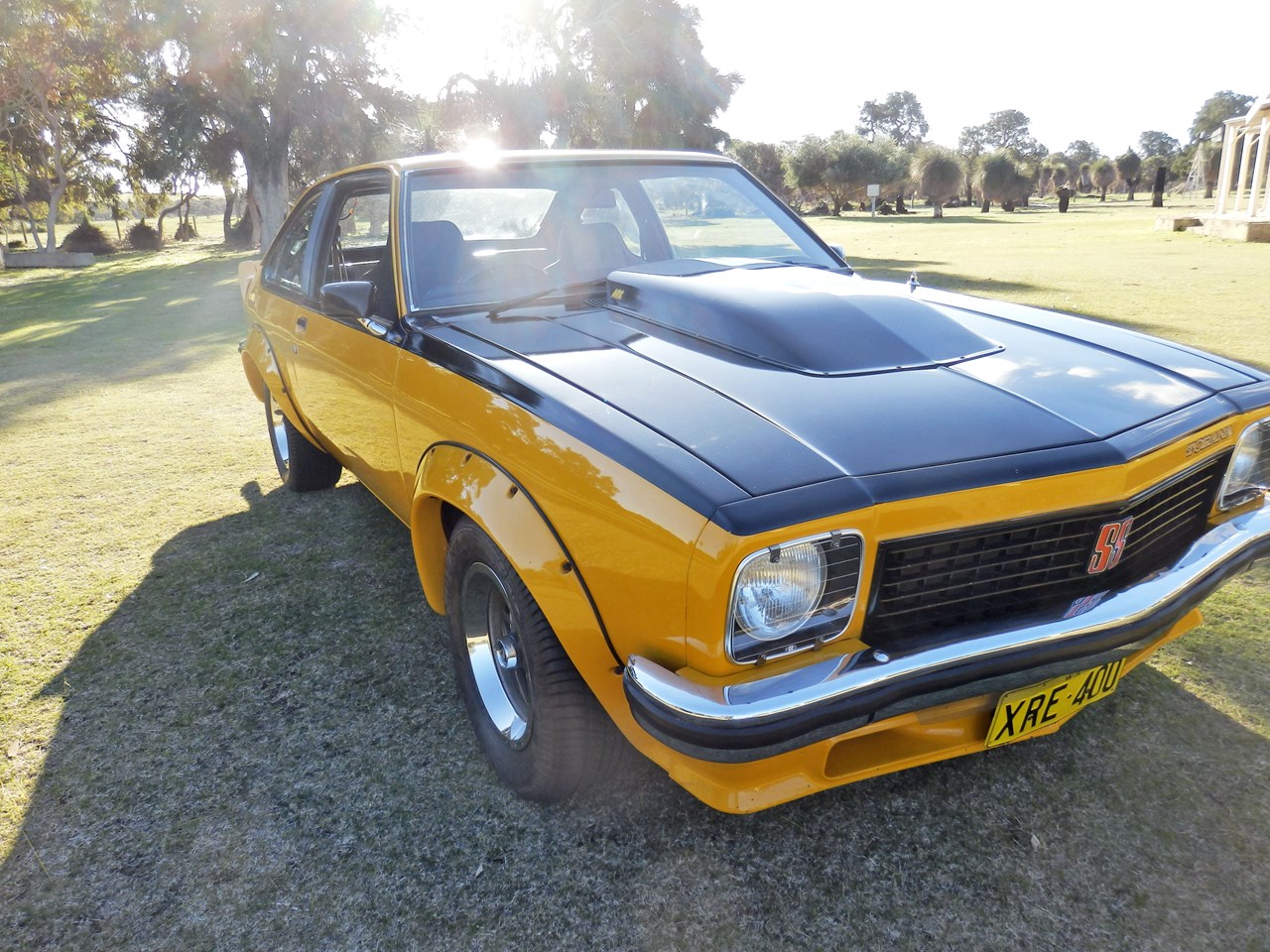 1977 HOLDEN TORANA A9X for sale
