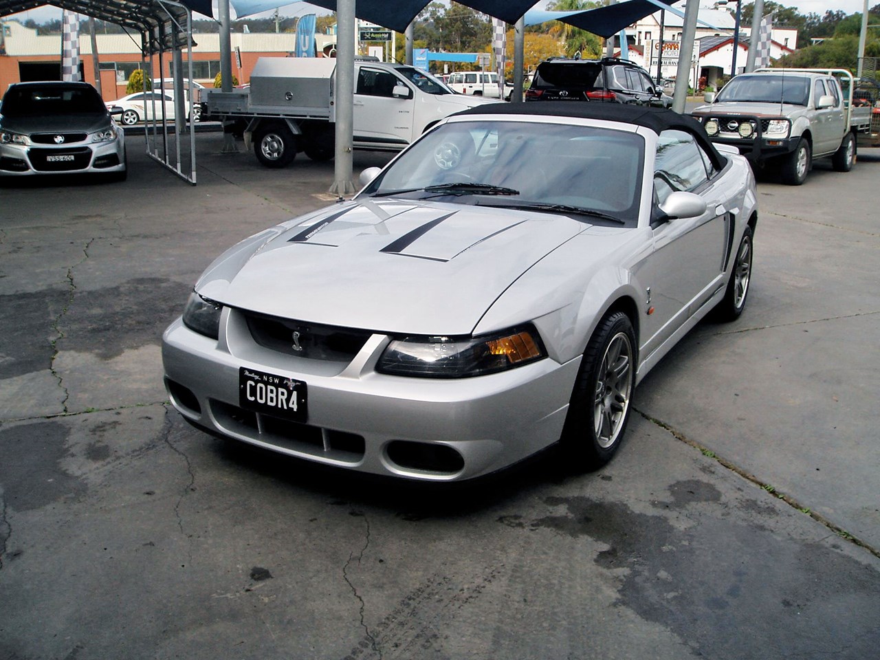 2003 FORD MUSTANG SVT Cobra Terminator for sale