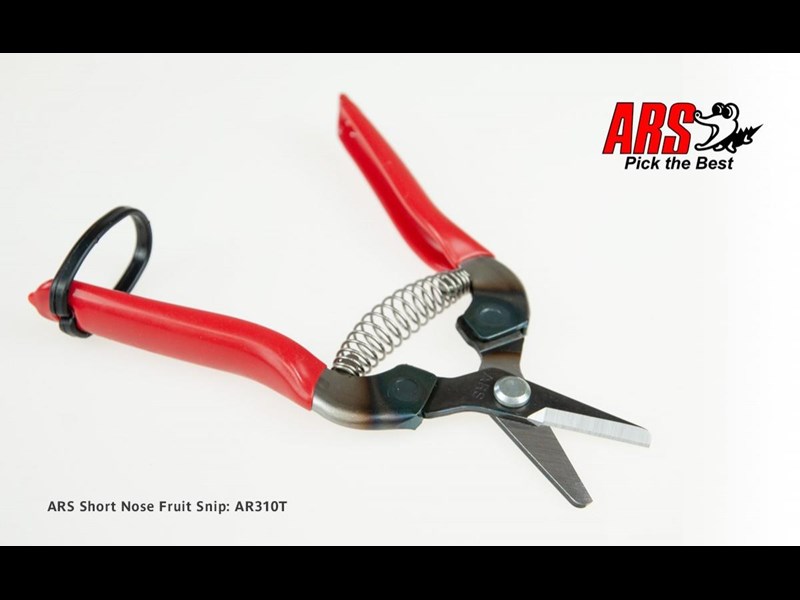 ARS SHORT NOSE FRUIT SNIPS - 160MM for sale