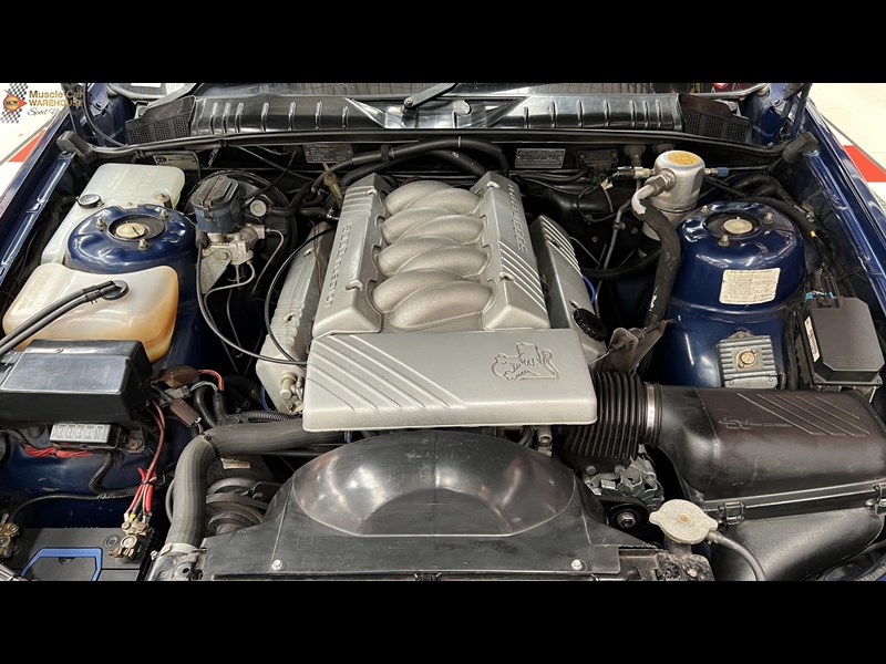 1991 HSV SV 91 1991 Holden VP Commodore SV91 for sale